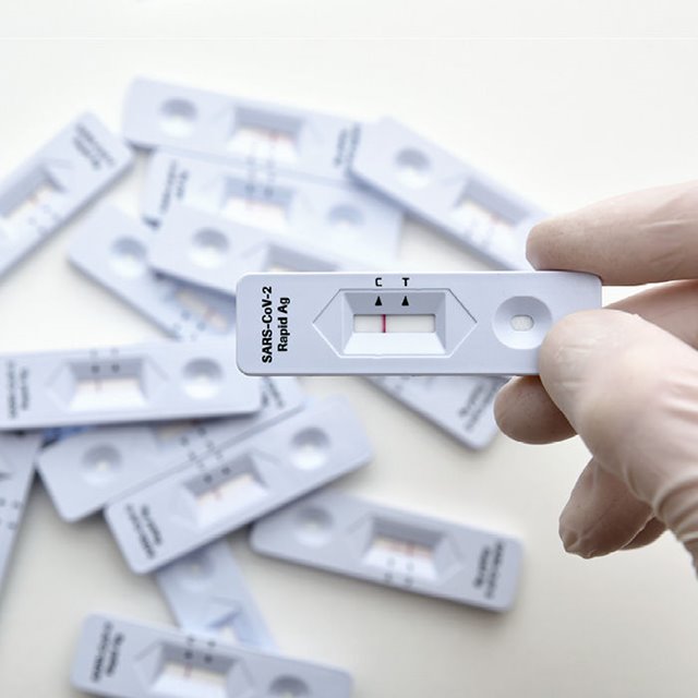 Rapid Tests: When Your Business Should Use Them | Toronto Region Board ...